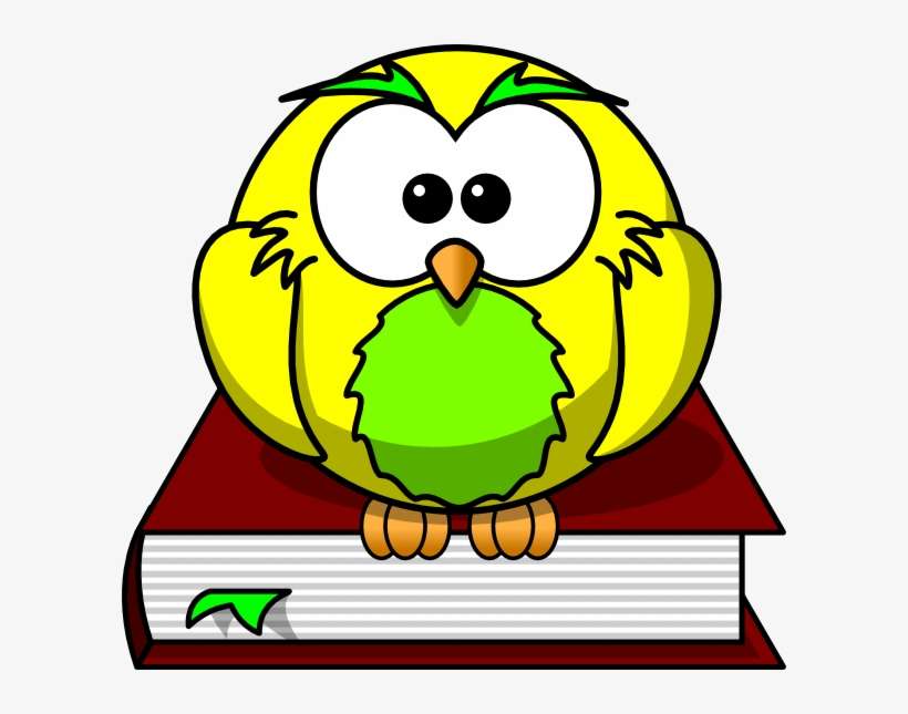 Cartoon Owl PNG Image | Transparent PNG Free Download on SeekPNG