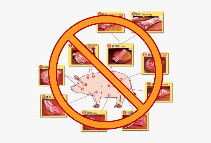 No Pork - No Pork Muslim PNG Image | Transparent PNG Free Download on ...