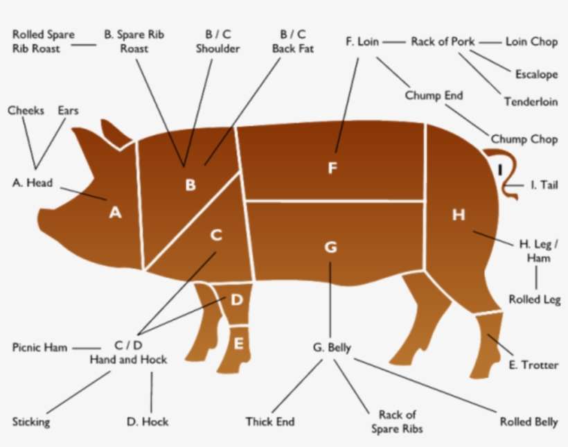 Download Pork Cuts In Tagalog Clipart Domestic Pig PNG Image ...