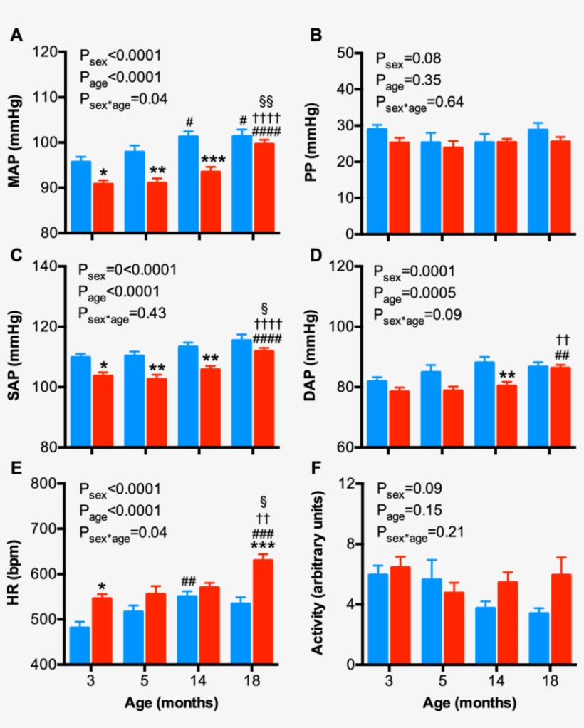 Arterial Pressures, Pulse Pressure, Heart Rate, And - Diagram PNG Image ...
