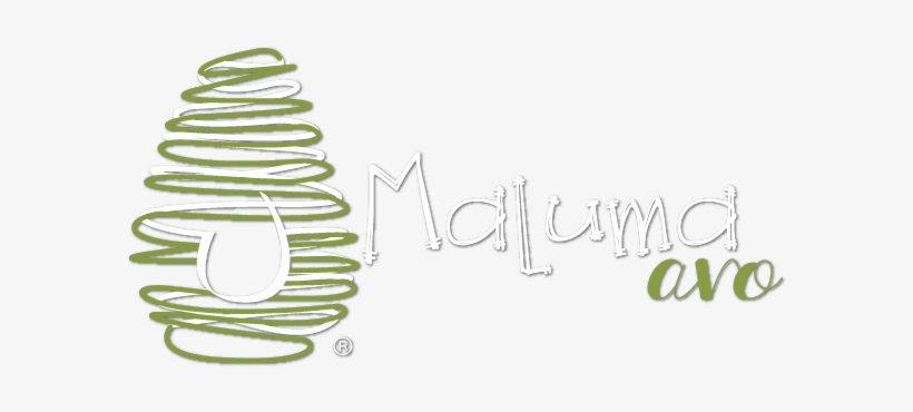 Download Maluma Avocado Cultivar - Maluma | Transparent PNG Download ...