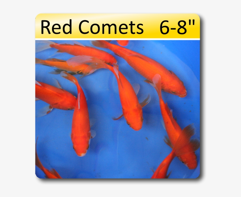 Red Comets 6-8 [rc68] - United States Of America PNG Image ...