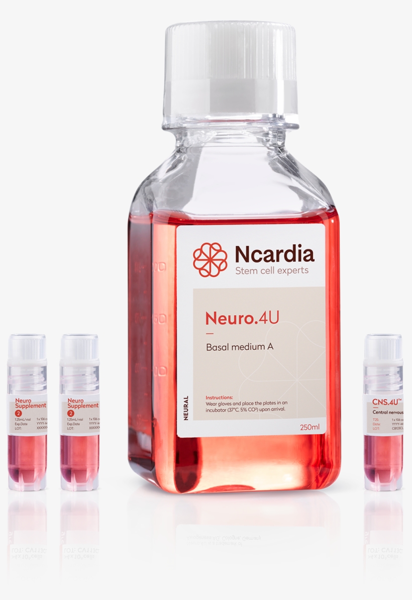 Advantages Of Cns - Plastic Bottle PNG Image | Transparent PNG Free ...