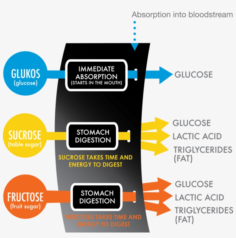 Why Glucose Is Better - The Glukos Company, Inc. PNG Image ...