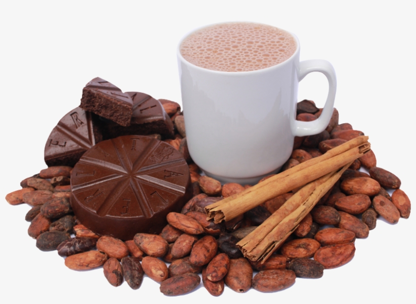 Cacao Tree PNG Image | Transparent PNG Free Download on SeekPNG