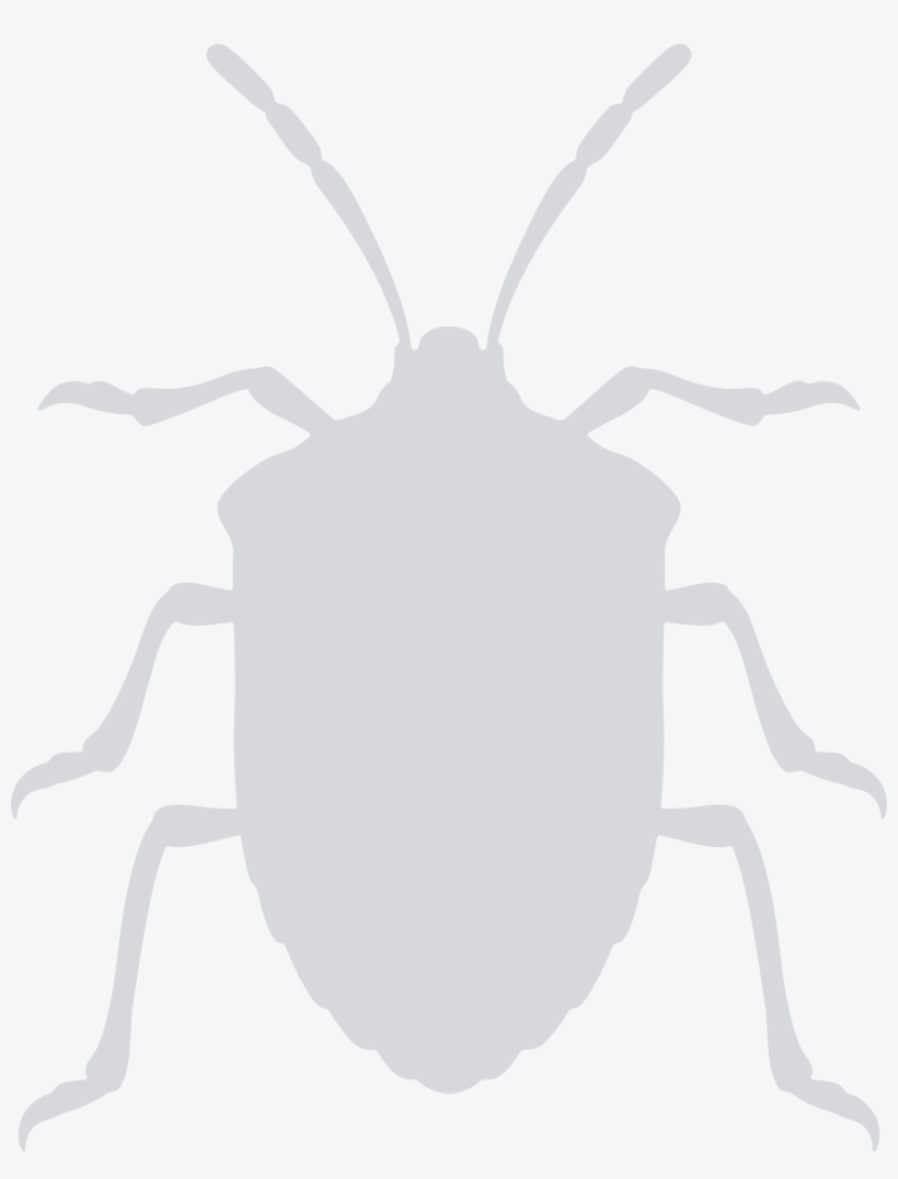 This Free Icons Png Design Of Stink Bug PNG Image | Transparent PNG ...
