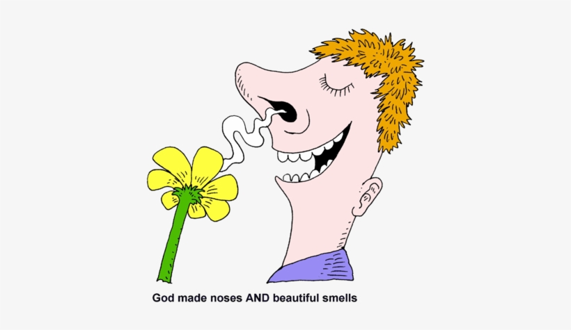 Cartoon Nose Smelling Clip Art