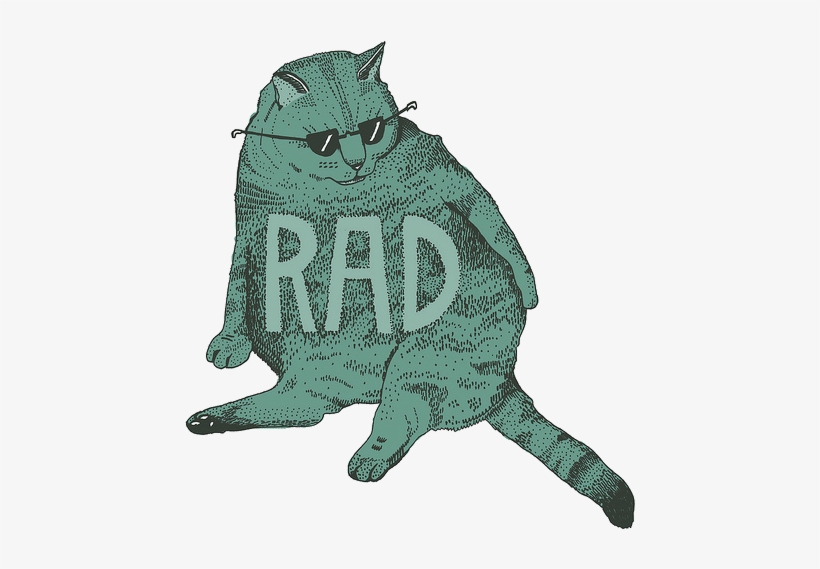 Download Rad Cat | Transparent PNG Download | SeekPNG