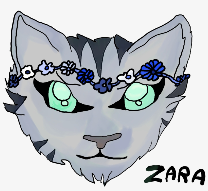Zara-art - Cartoon PNG Image | Transparent PNG Free Download on SeekPNG