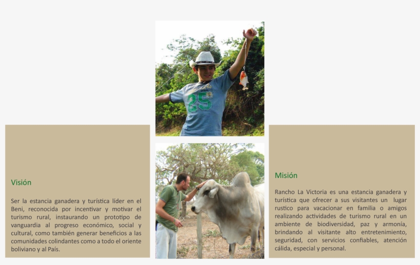 Mission Statement PNG Image | Transparent PNG Free Download on SeekPNG