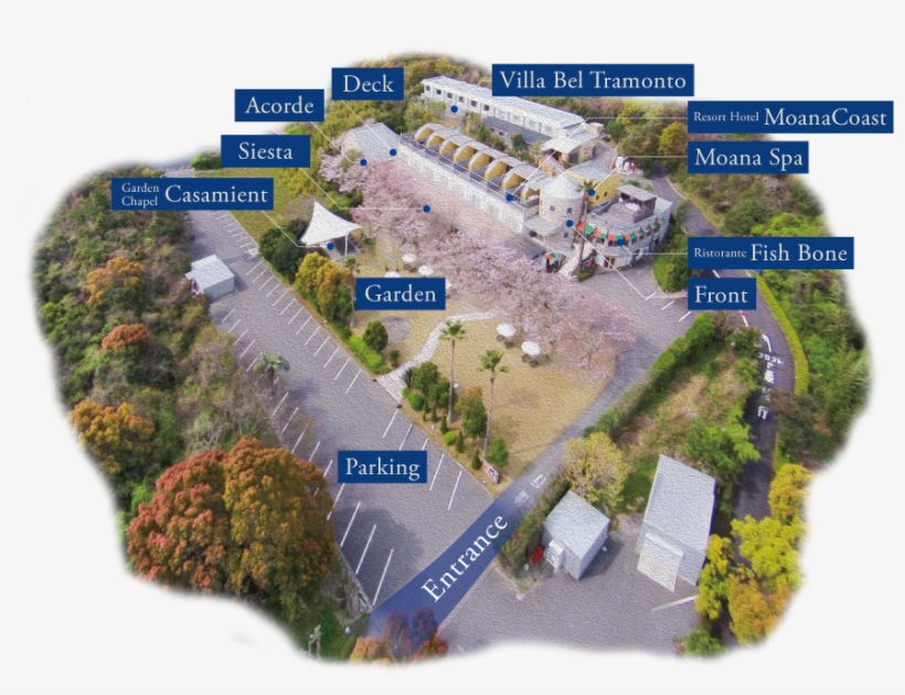 Plan PNG Image | Transparent PNG Free Download on SeekPNG