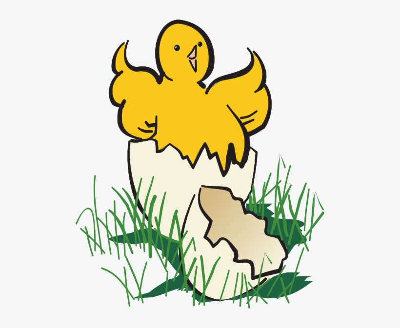 Baby Chick Hatching Clip Art - Hatch Clipart PNG Image | Transparent ...