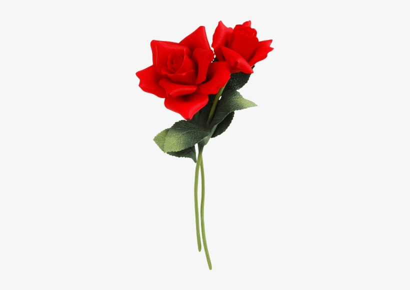 06 Jun 2010 - Two Long Stem Roses PNG Image | Transparent PNG Free ...