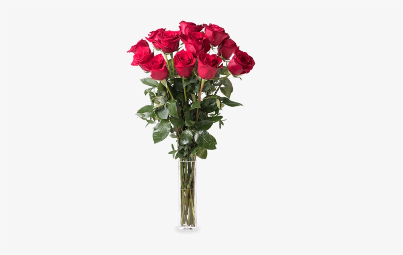Download I Will Always Love You - 12 Long Stem Roses | Transparent PNG ...
