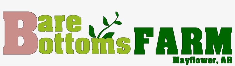 Bette And Joan The Divine Feud By Shaun Considine PNG Image ...