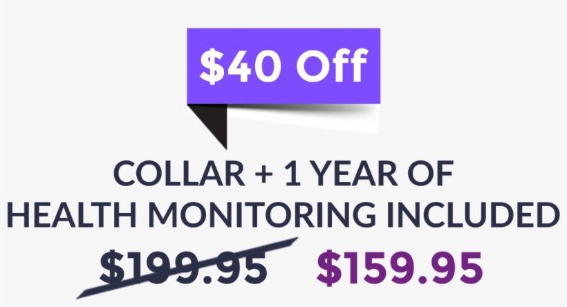 Select - Graphics PNG Image | Transparent PNG Free Download on SeekPNG