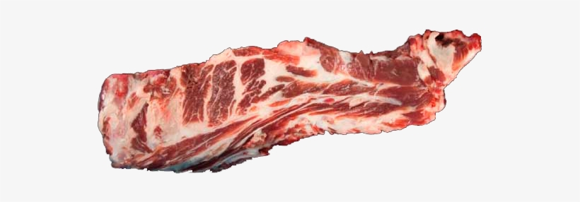 Neck Bone - Neck PNG Image | Transparent PNG Free Download on SeekPNG