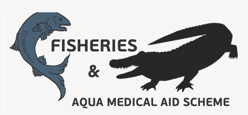 Fish Logo - Medicine PNG Image | Transparent PNG Free Download on SeekPNG