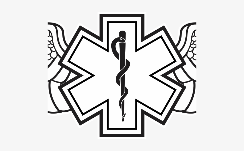 Ems Pilot / Crew Wings - Estrella De La Vida Png PNG Image ...