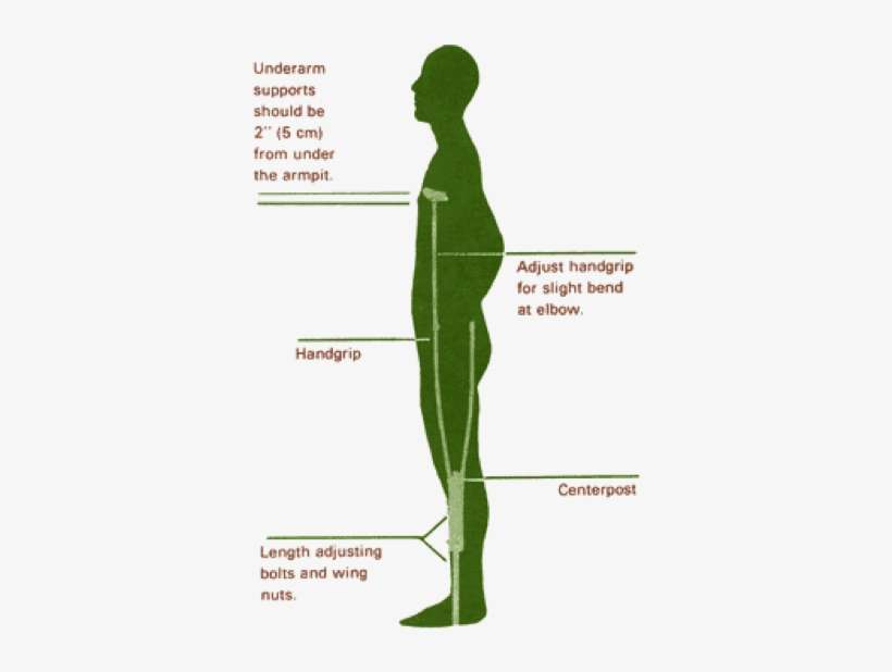 Description - Http - //kidshealth - Schn - Health - - Diagram PNG Image ...