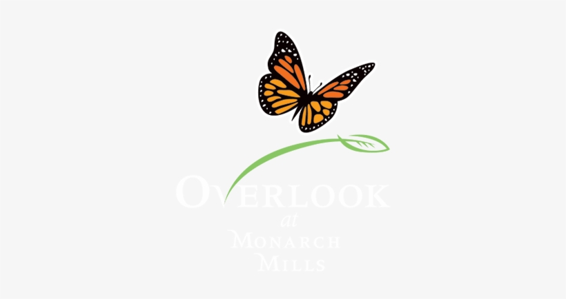 Overlook At Monarch Mills - Monarch Mills PNG Image | Transparent PNG ...