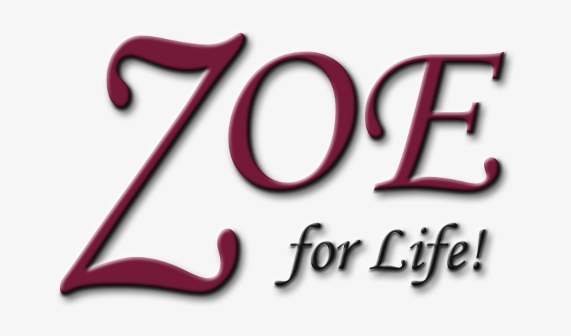 Zoe For Life ™ Serves As A Conduit, Guiding Women In - Poetry You Can ...