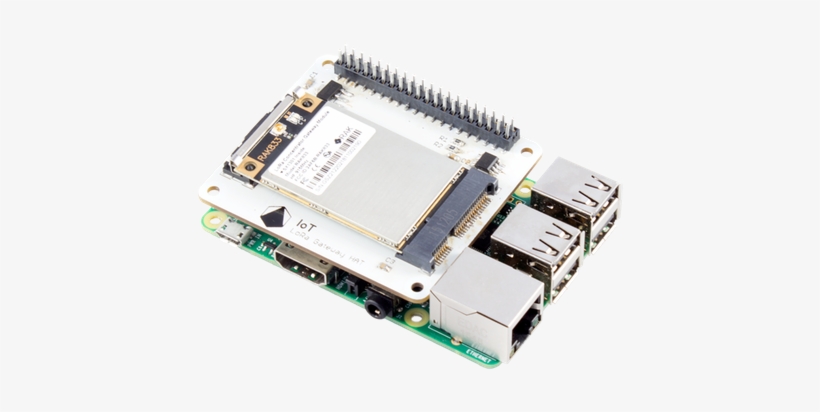 Lora PNG Image | Transparent PNG Free Download on SeekPNG