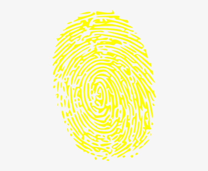 Small - Fingerprint PNG Image | Transparent PNG Free Download on SeekPNG
