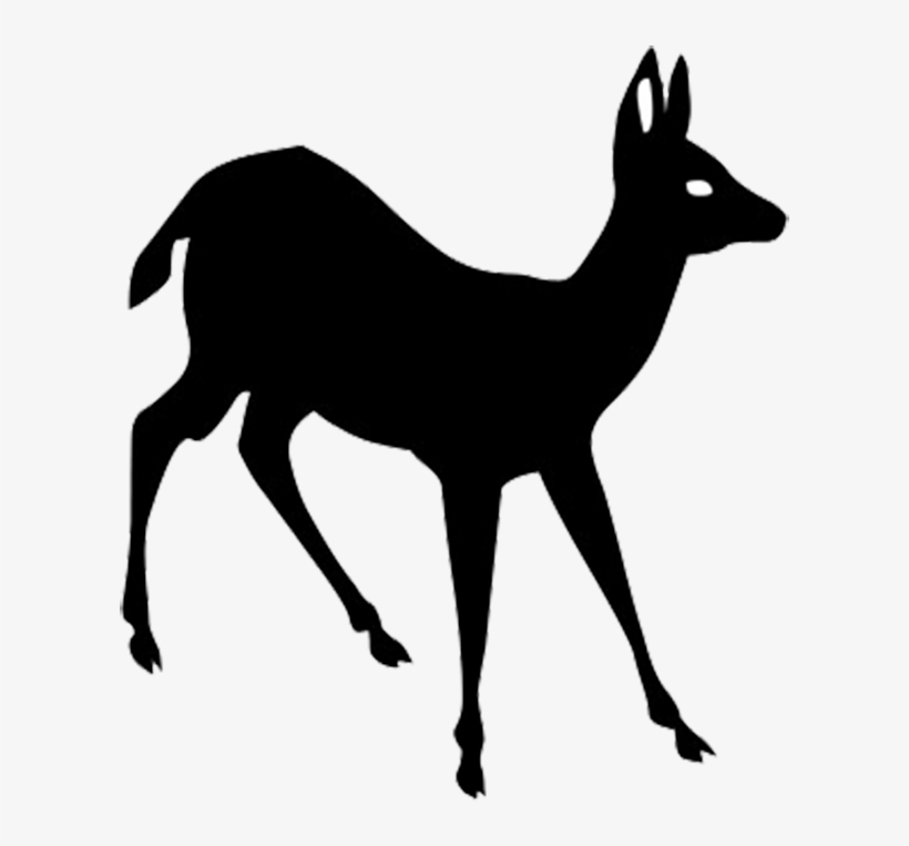 Deer Silhouette - Venado Cola Blanca Silueta PNG Image | Transparent ...