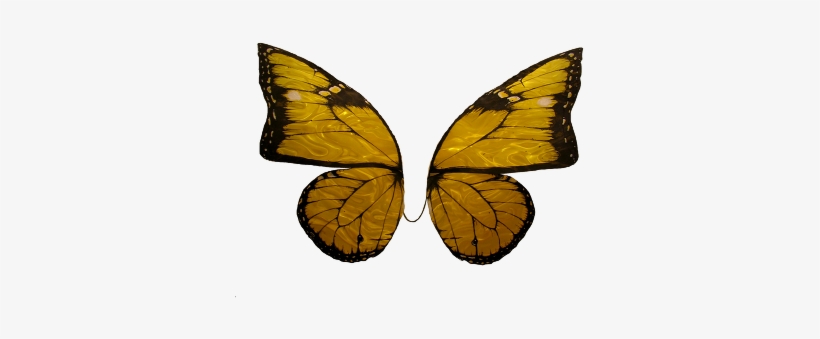 Hi Guys, - Riodinidae PNG Image | Transparent PNG Free Download on SeekPNG