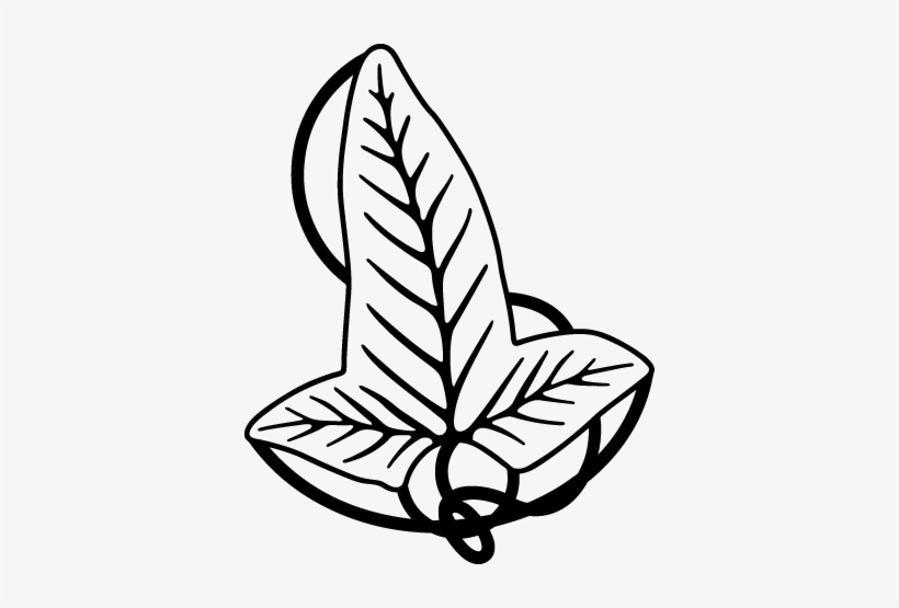 Leaf Of Lorien Wall Sticker 3127 - Elven Leaf Drawing PNG Image ...