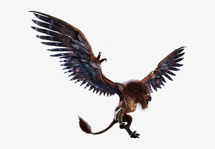 Download Download Png - Witcher 3 Griffin Png PNG Image | Transparent ...