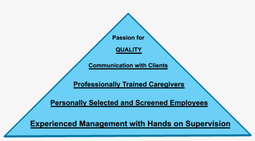 Pyramid Of Excellent For Providing Care Sets Golden - Marshalls ...
