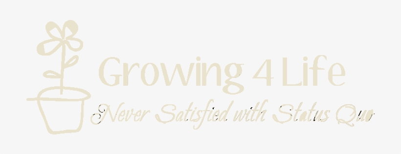 Tan-logo - Calligraphy PNG Image | Transparent PNG Free Download on SeekPNG