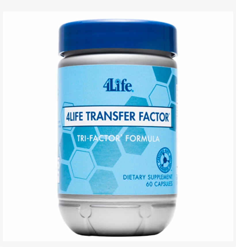 Lightbox - Trans Factor 4 Life PNG Image | Transparent PNG Free ...