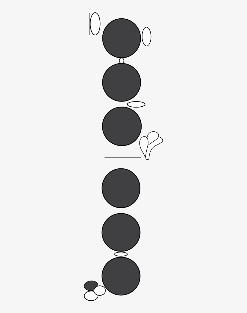 Oboe PNG Image | Transparent PNG Free Download on SeekPNG