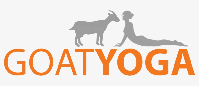 At Our Farm, Sunday - Goat Yoga Logo PNG Image | Transparent PNG Free ...
