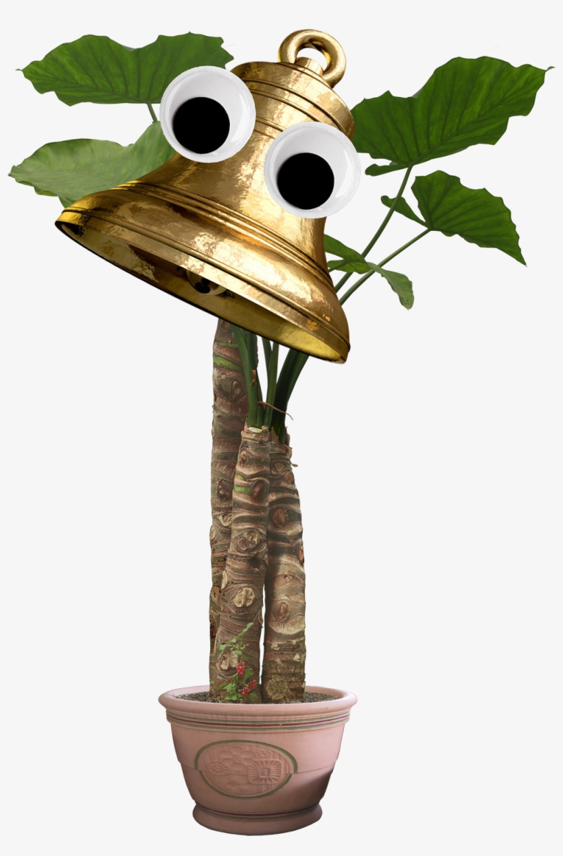 Bellsprout - Plants PNG Image | Transparent PNG Free Download on SeekPNG