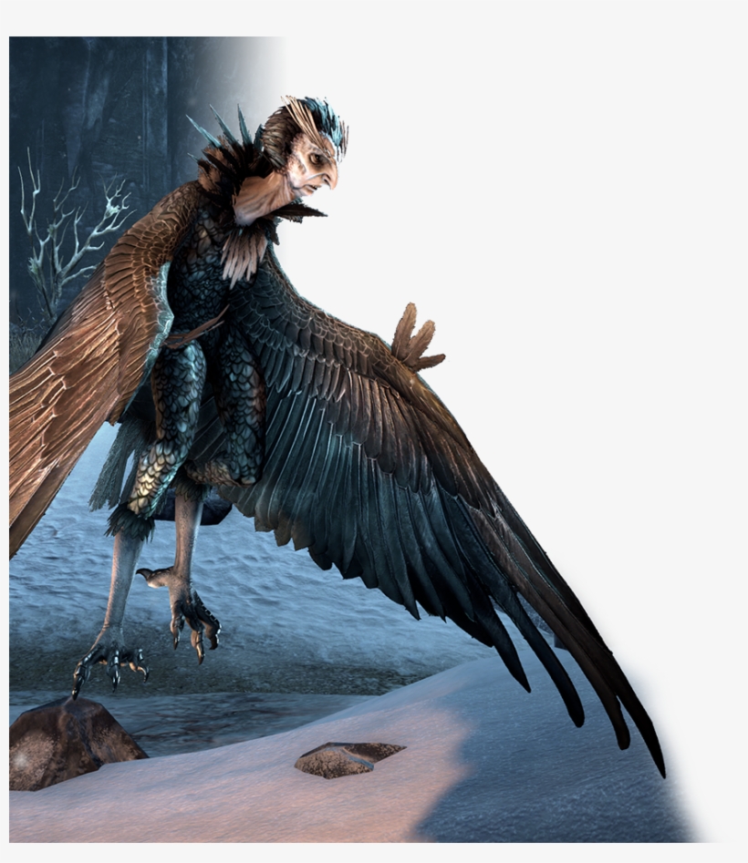 The Elder Scrolls Online - Harpies Eso PNG Image | Transparent PNG Free ...
