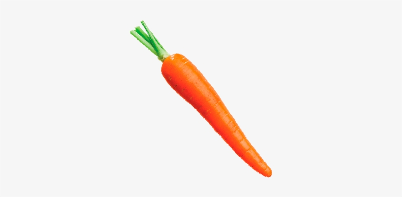 Betabel Naranja Y Zanahoria - Orange PNG Image | Transparent PNG Free ...