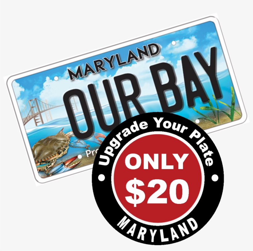 Did You Know Chesapeake Bay Plates Help Restore The - New Md Bay Tag ...