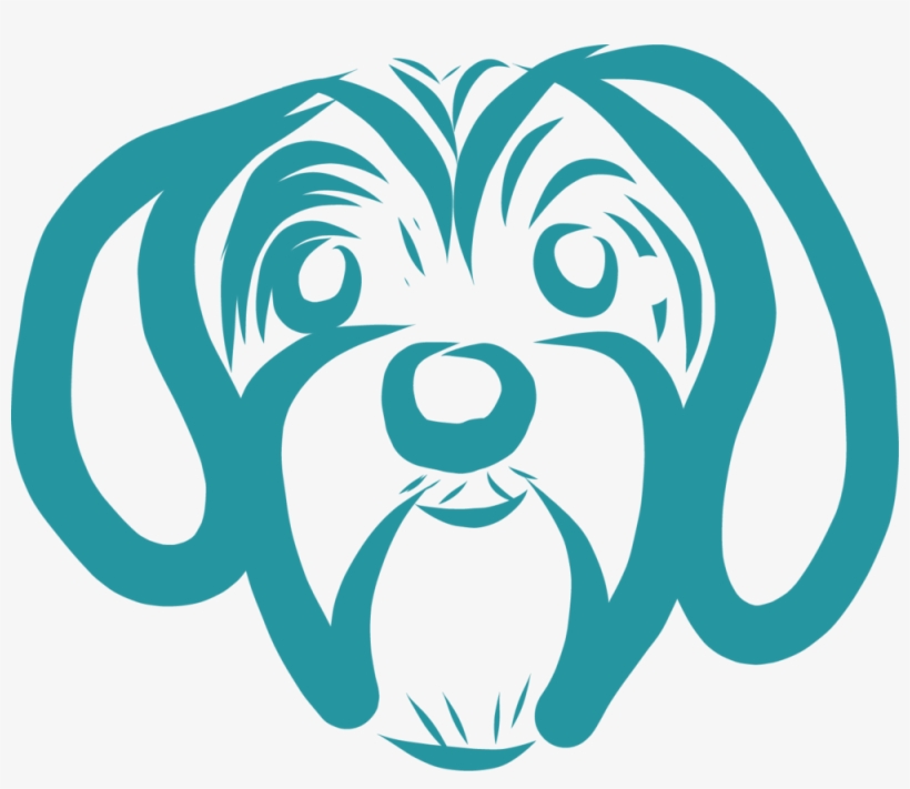 This Is Velma - Velma Dinkley PNG Image | Transparent PNG Free Download ...