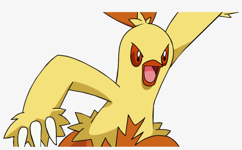 Torchic PNG Image | Transparent PNG Free Download on SeekPNG