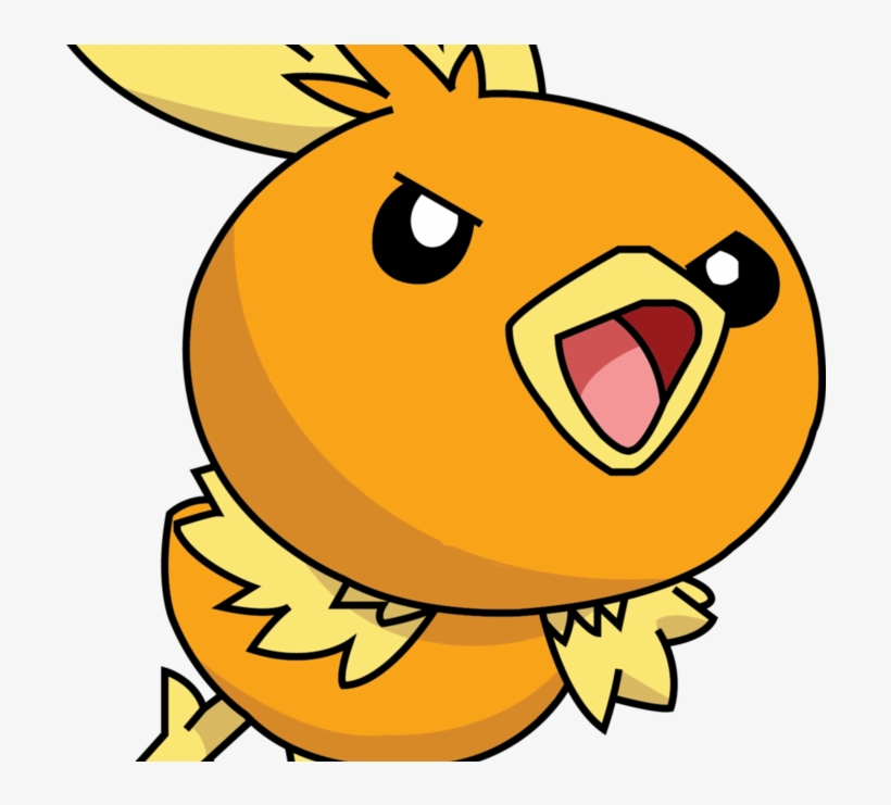 Download Torchic | Transparent PNG Download | SeekPNG