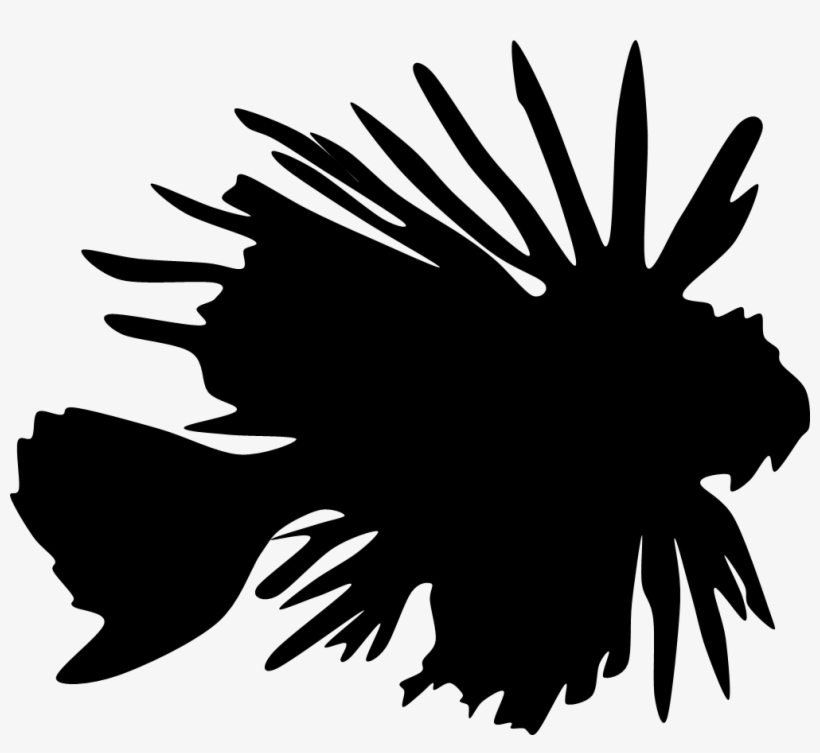 Interesting Facts - Illustration PNG Image | Transparent PNG Free ...