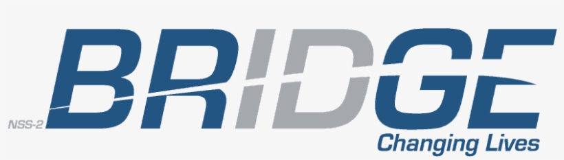 Nss 2 Bridge Logo Tag - William Nelson, Nmd - National Addiction ...