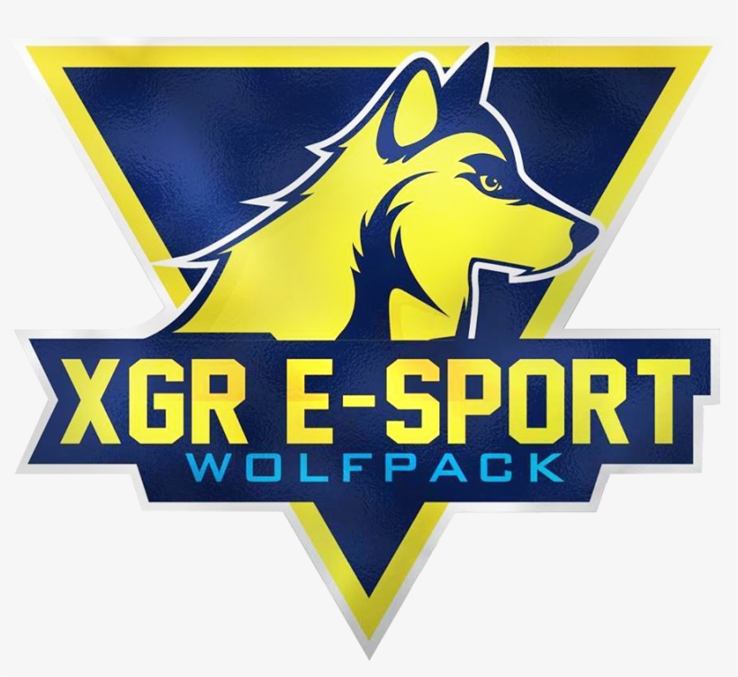 Xgr Esports - Counter-strike: Global Offensive PNG Image | Transparent ...