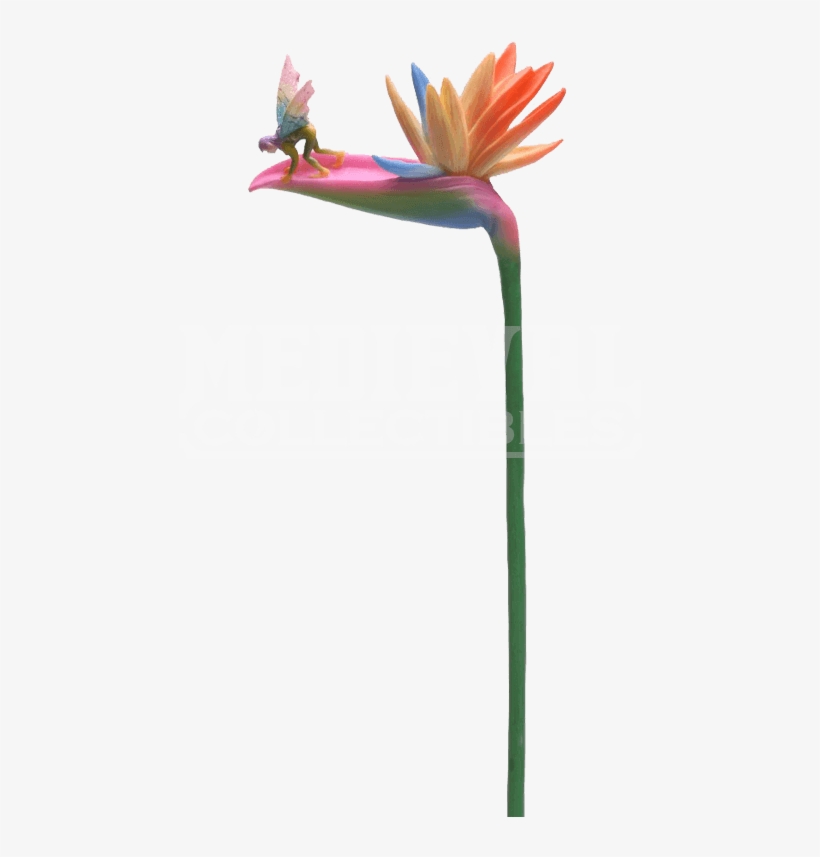 Bird Of Paradise Stem Flitty Fairy Flower - Stem Flitty - Bird Of ...