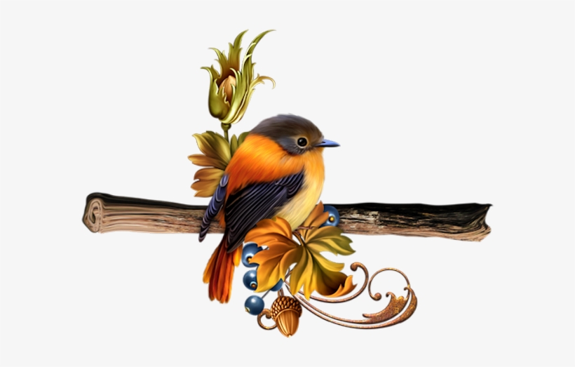 Birds, Birds, Drawing, Png, Color - Glorious Birds On Aqua-a2 PNG Image ...