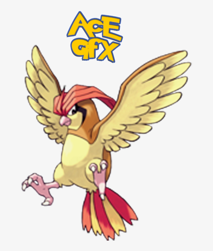 Photo Pidgeotto - Pokemon Pidgeotto PNG Image | Transparent PNG Free ...